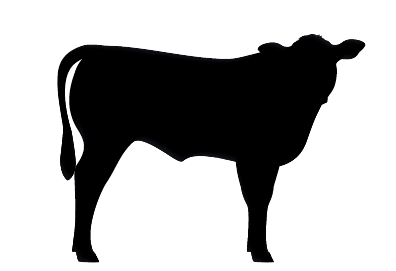 Steer Cuts - Carnes Vireyes